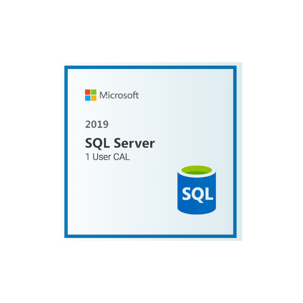 Microsoft SQL Server 2019 - 1 User CAL