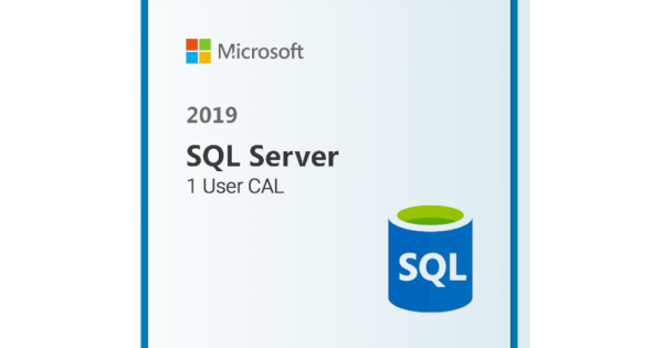 Microsoft SQL Server 2019 - 1 User CAL