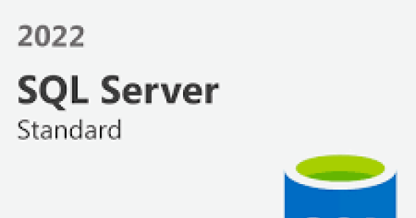 SQL Server 2022 - 1 User CAL Lisans Satış - Fiyat ve Özellikleri
