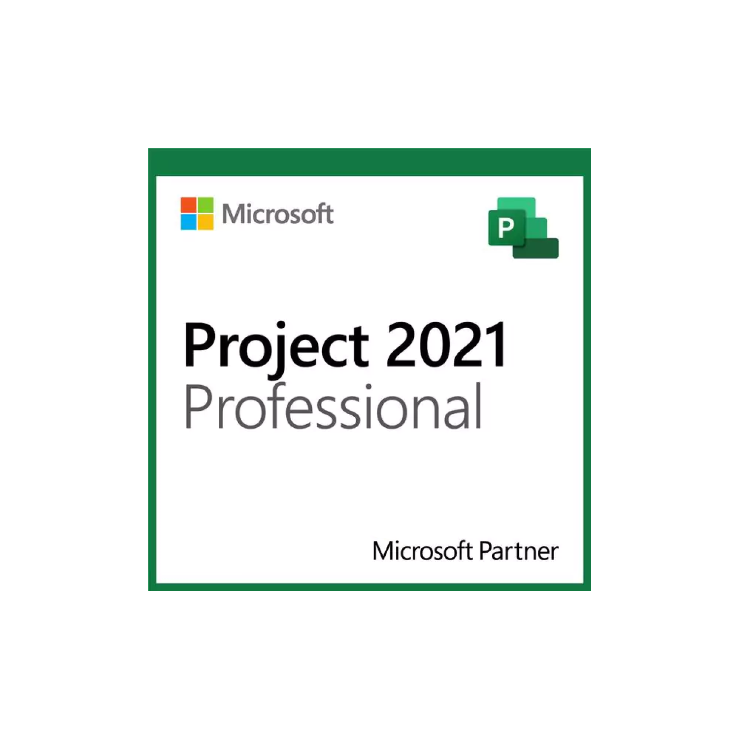 Microsoft Project Professional 2021 - Kalıcı Lisans